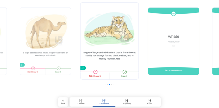 Flashcards | LanGeek Help Center